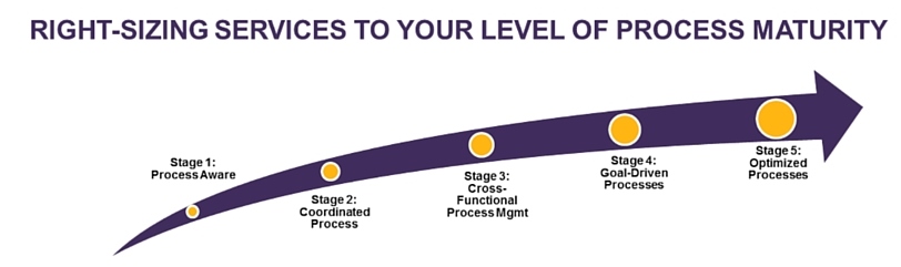 Identify Process Maturity Level to Drive Process Improvement Results